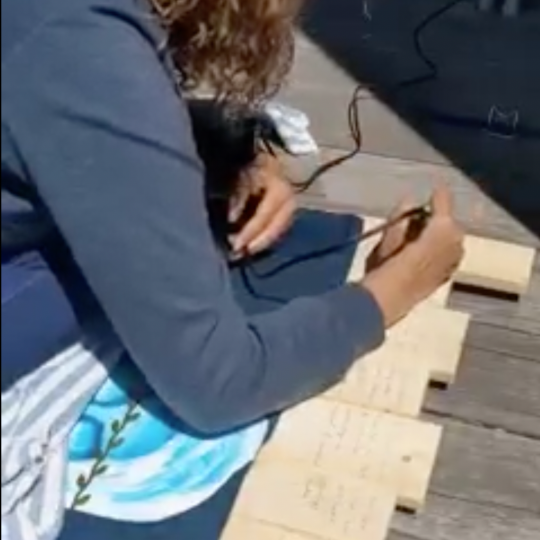 Ekphrastic collaborations – Aileen Cassinetto