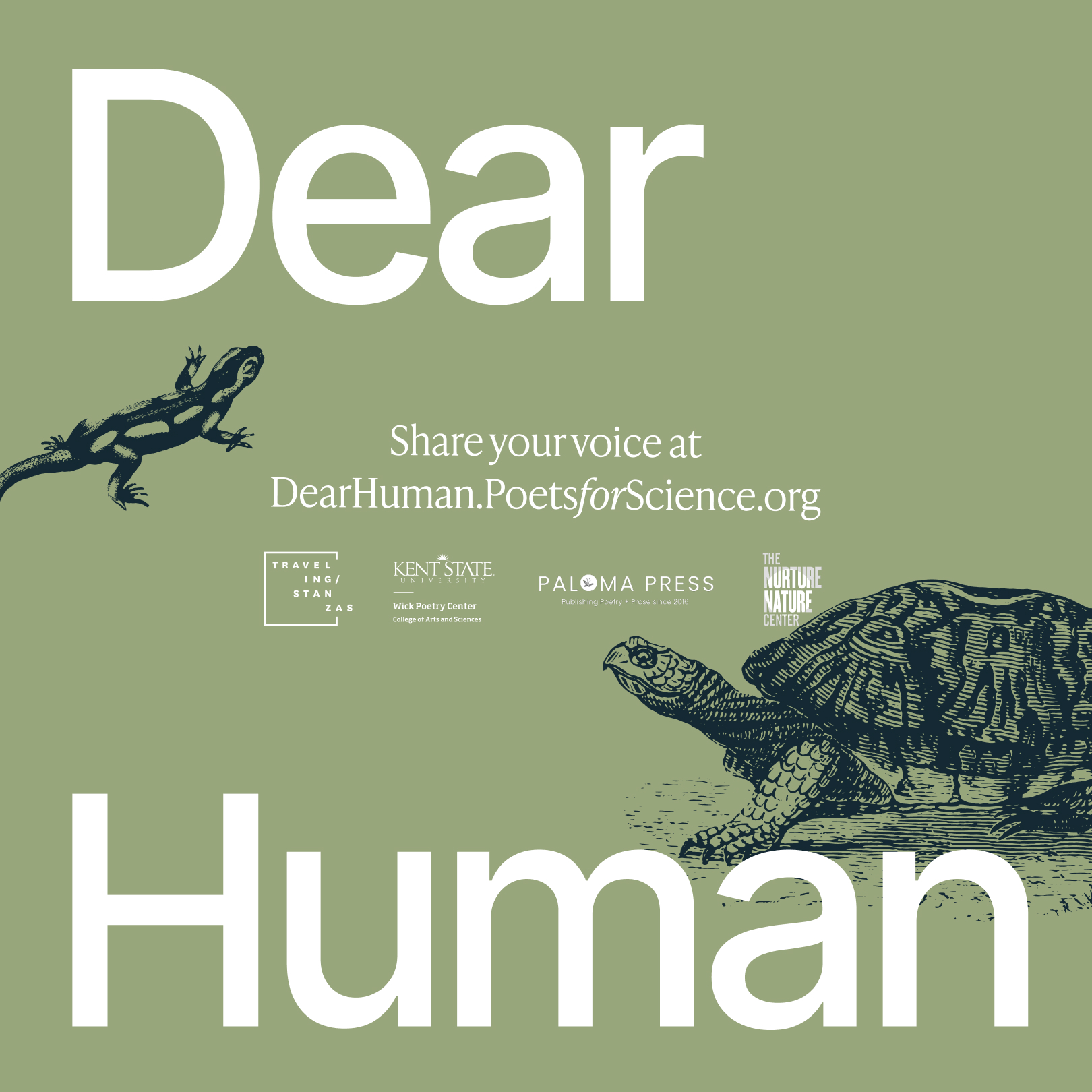 Dear Human at the Edge of Time – Aileen Cassinetto