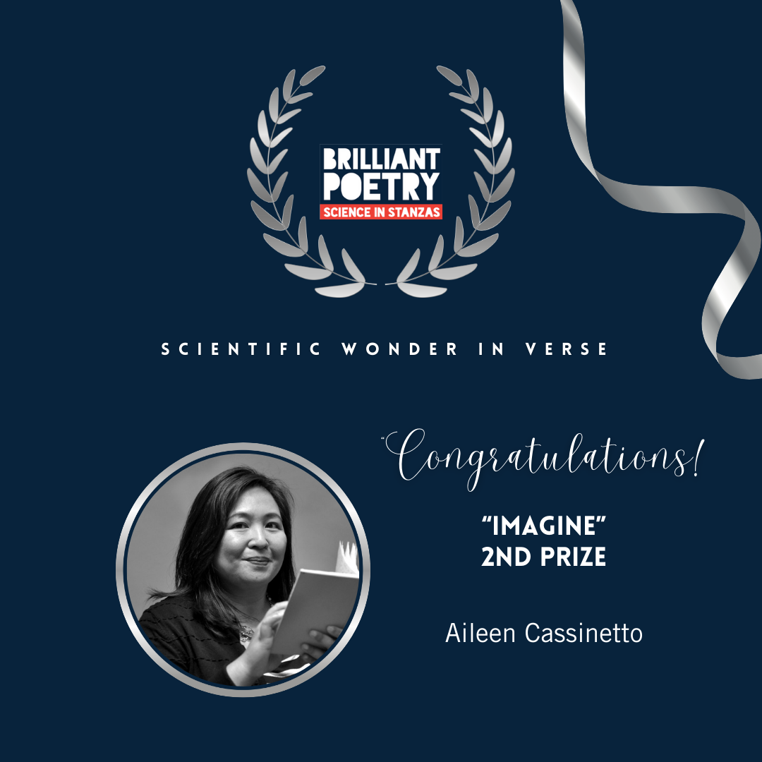 The Brilliant Poetry Prize – Aileen Cassinetto