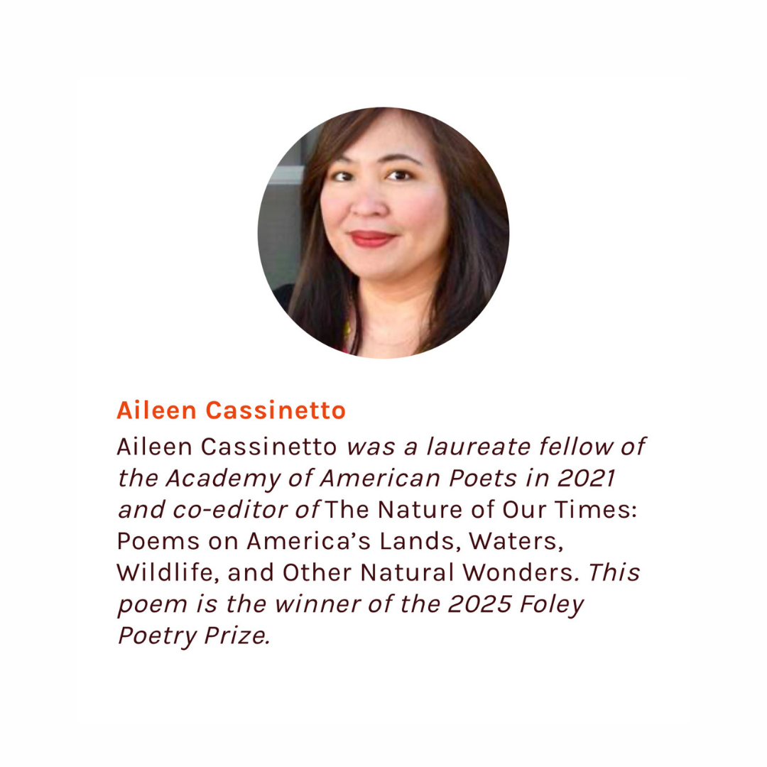 The 2025 Foley Poetry Prize – Aileen Cassinetto